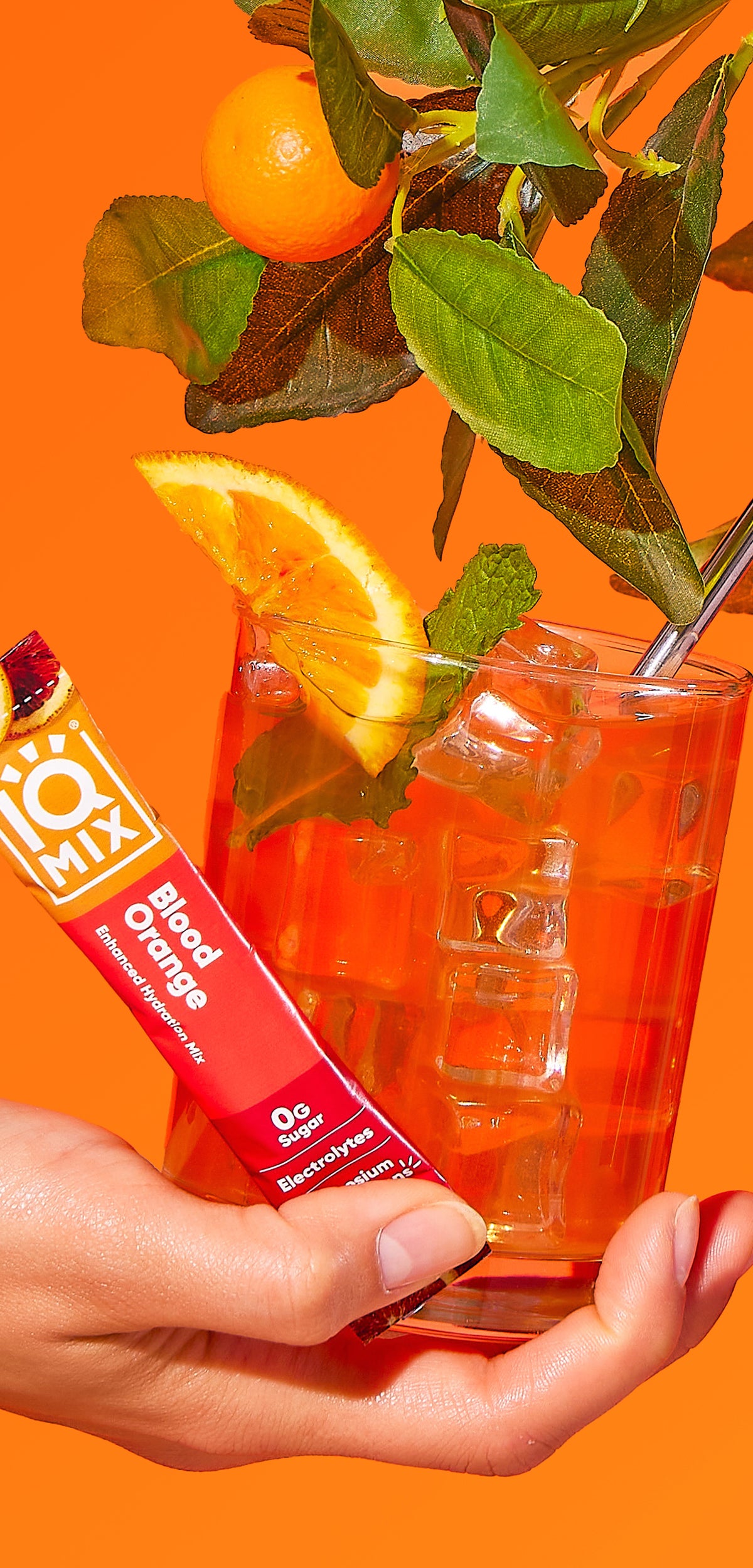 What Makes IQBAR Different | IQBAR