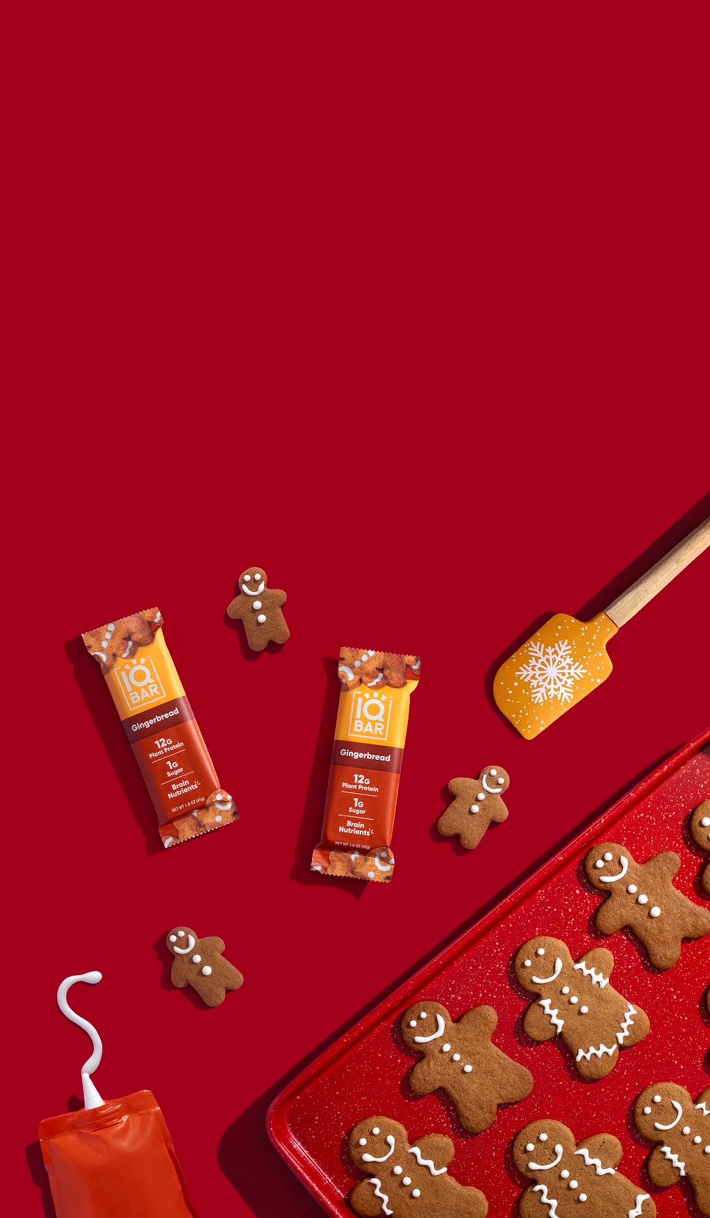 IQBAR - Keto Protein Bars | Vegan Keto Bars | Healthy Paleo Bars