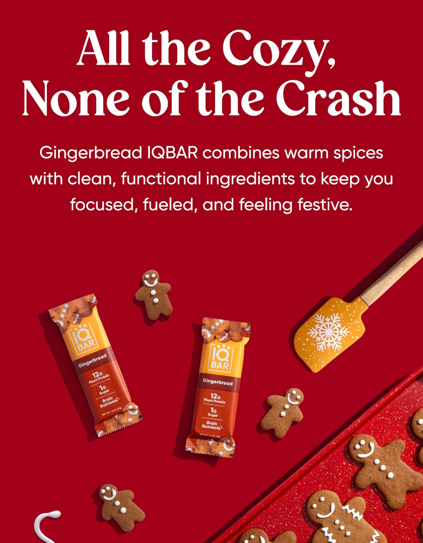 IQBAR® Plant Protein Bars with Magnesium & Lion's Mane
