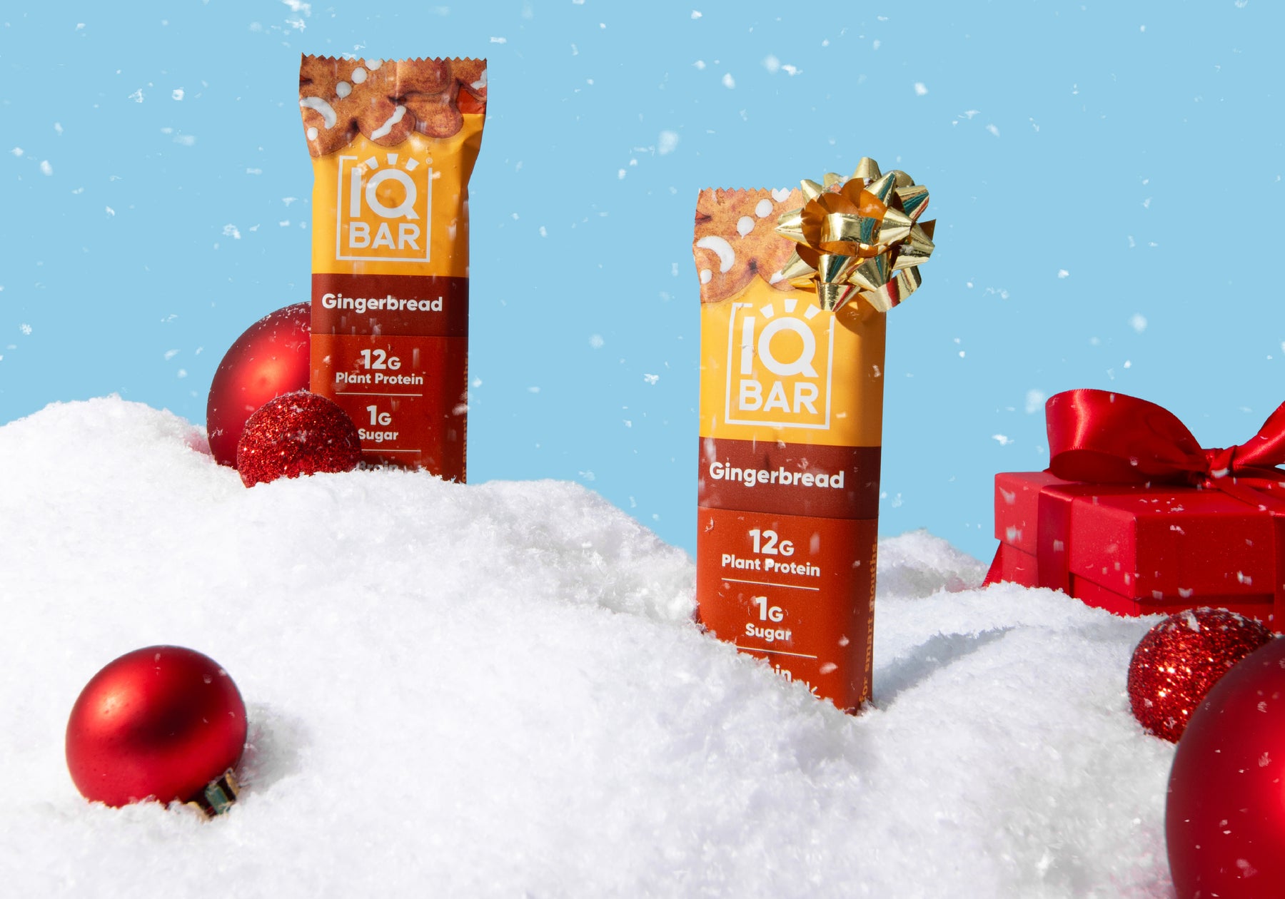 IQBAR® Plant Protein Bars with Magnesium & Lion's Mane